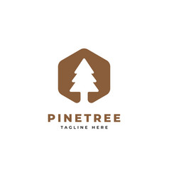 Spruce forest logo Royalty Free Vector Image - VectorStock