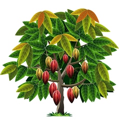 Symbol Cocoa Tree Vector Images (over 940)