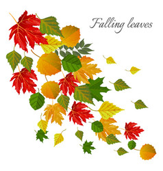 Realistic autumn leaves fall orange wood foliage Vector Image