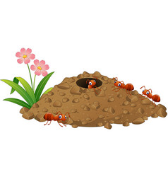 Cartoon ants colony and ant hill Royalty Free Vector Image