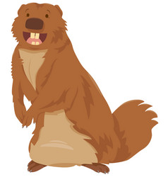 Gopher animal cartoon Royalty Free Vector Image