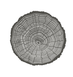 Seamless tree rings pattern Royalty Free Vector Image