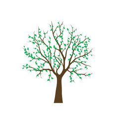 Green trees Royalty Free Vector Image - VectorStock