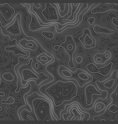Abstract blank topographic contour map Royalty Free Vector