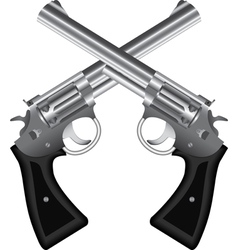 Old colt Royalty Free Vector Image - VectorStock
