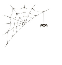 Spider and web Royalty Free Vector Image - VectorStock