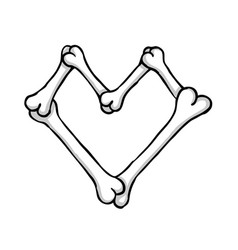 Bone Vector Images (over 100,000)