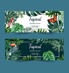 Banner design with classic wild tropical plants Vector Image