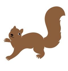 Squirrel Royalty Free Vector Image - VectorStock