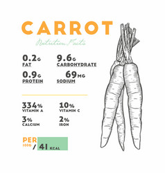 Carrot Diet Colorful Inspirational Vegetable Vector Image