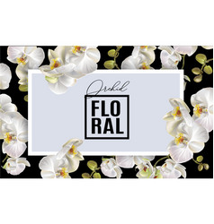Orchid summer tropical flower Royalty Free Vector Image