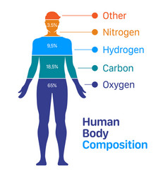 Human Body Measurements Chart Vector Images (over 250)