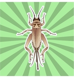 Grass Hopper Vector Images (67)