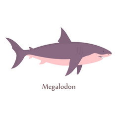 Megalodon Vector Images (74)