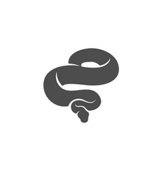 Python snake logo animal graphic snake design Vector Image