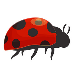 Ladybug insect icon cartoon flower bug Royalty Free Vector