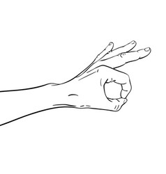 Human hand gesture ok icon Royalty Free Vector Image