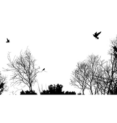 Birds on branch Royalty Free Vector Image - VectorStock