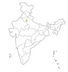 Delhi india map grey Royalty Free Vector Image