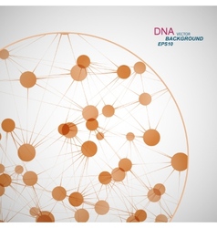 Network connection and dna eps10 Royalty Free Vector Image