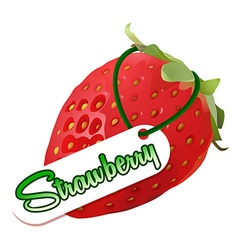 Strawberry plant with red strawberries Royalty Free Vector