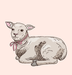 Hand drawn lamb Royalty Free Vector Image - VectorStock