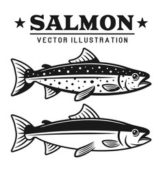 Two fish Royalty Free Vector Image - VectorStock