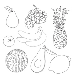 Pear fruit for coloring book Royalty Free Vector Image