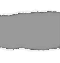 Torn snatched window in sheet white paper Vector Image