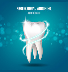 Realistic teeth types set Royalty Free Vector Image