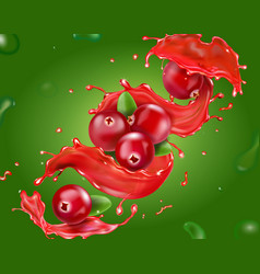 Raspberry in berry juice splash Royalty Free Vector Image