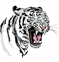 A wounded tiger Royalty Free Vector Image - VectorStock