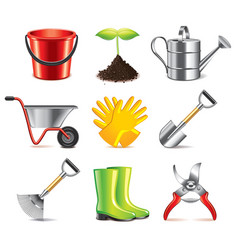 Growing plant steps set Royalty Free Vector Image