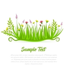 Spring background with green grass and flowers Vector Image