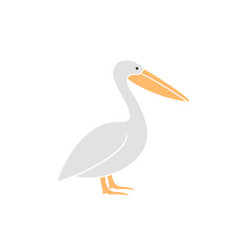 Pelican bird on white background Royalty Free Vector Image
