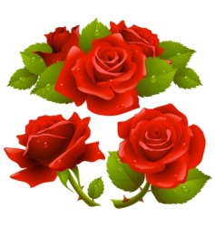 Three roses Royalty Free Vector Image - VectorStock