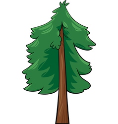 Cartoon conifer tree Royalty Free Vector Image