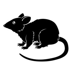 Rat icon set Royalty Free Vector Image - VectorStock