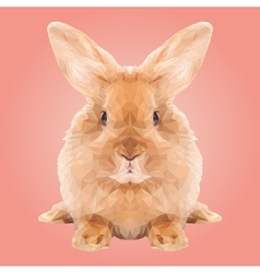 Rabbit head low poly isolated icon Royalty Free Vector Image