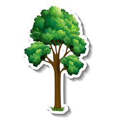 Tree sticker on white background Royalty Free Vector Image