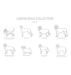 Simple line dogs collection isolated on white dog Vector Image