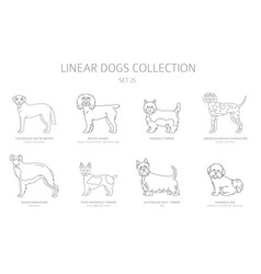 Simple line dogs collection isolated on white dog Vector Image