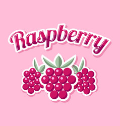 Engraving raspberry retro Royalty Free Vector Image