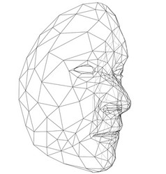 Wire-frame abstract human face Royalty Free Vector Image