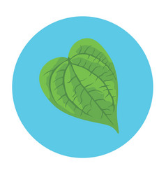 Flat-icon-betel-leaf Royalty Free Vector Image
