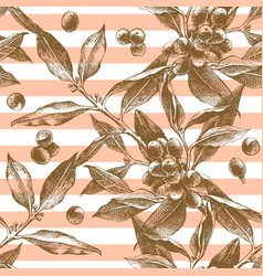 Hand sketched coffee beans Royalty Free Vector Image