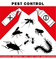 Pest control harmful insects and rodents set Vector Image