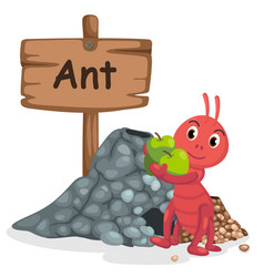 Isolated animal alphabet letter a-ant apple Vector Image