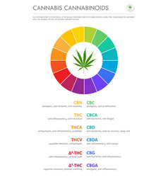 Cannabis cannabinoids vertical business Royalty Free Vector