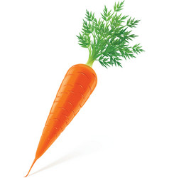 Carrot diet colorful inspirational vegetable Vector Image